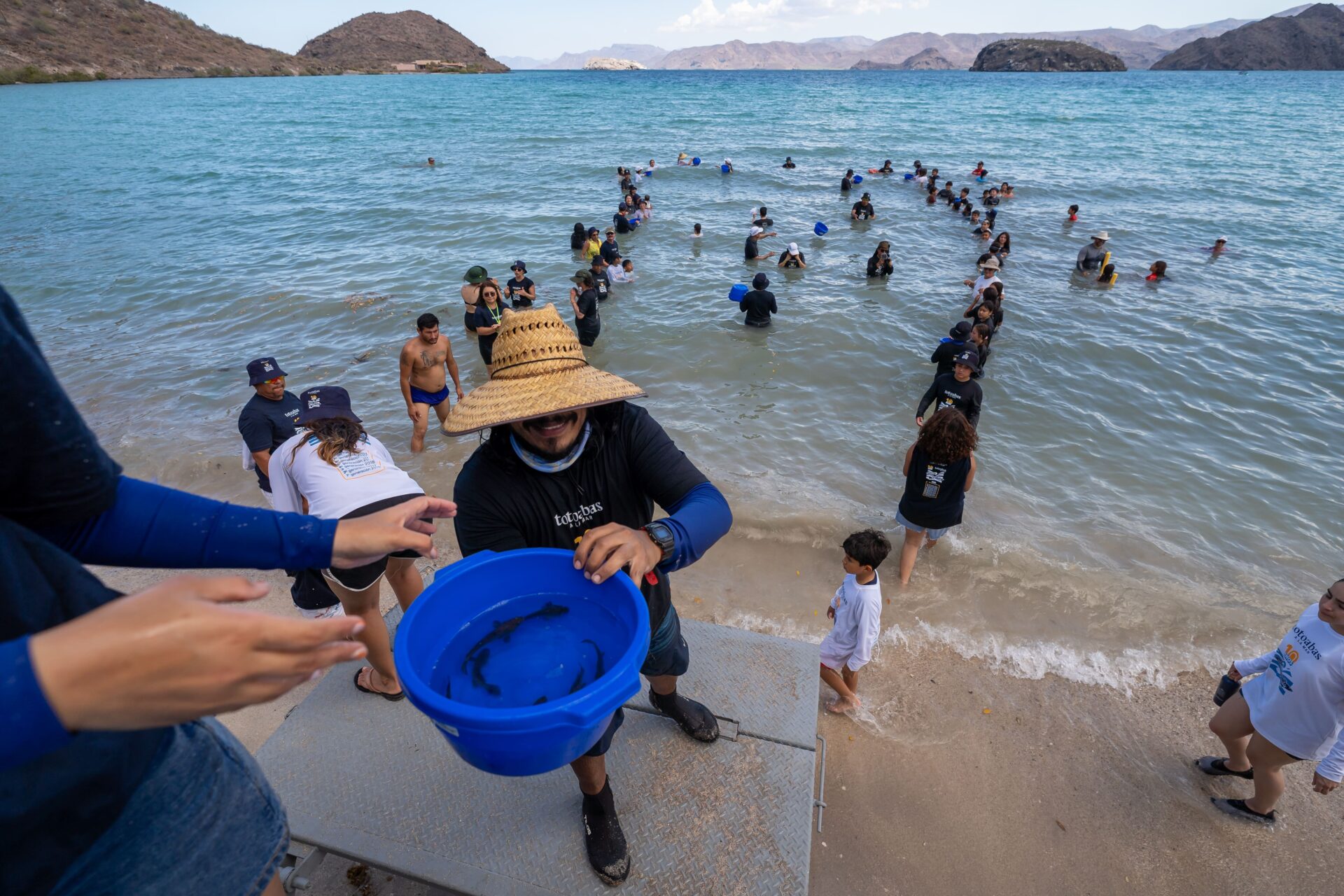 Santomar celebra 10 años de conservación con más de 270,000 totoabas ...
